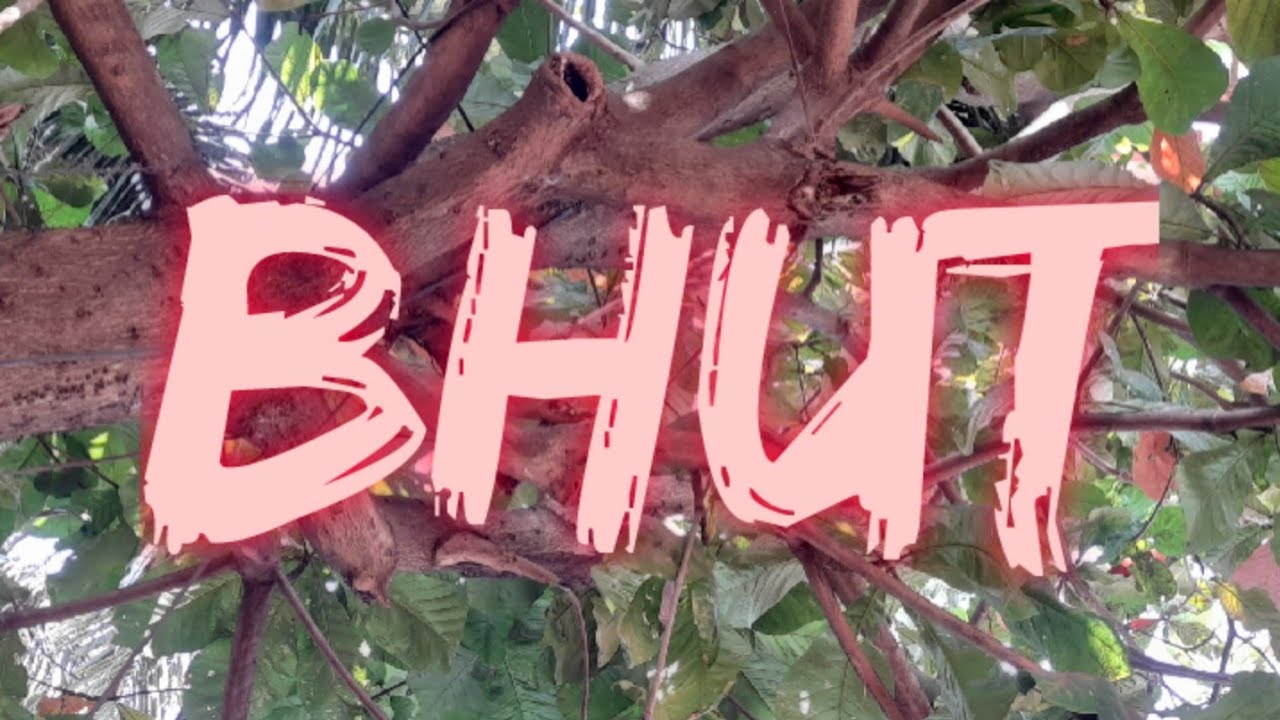 bibhan vlogs official's/only bhut danger video kids - YouTube