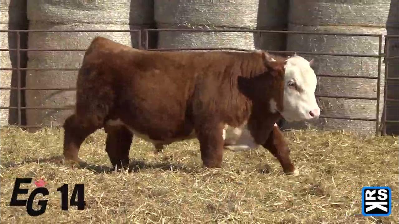 14 rsk 2025 - YouTube