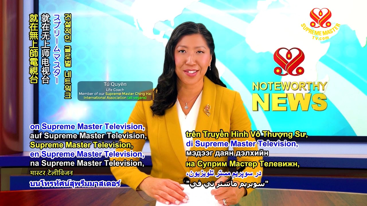 SupremeMasterTV Live 2019 12 29 - YouTube