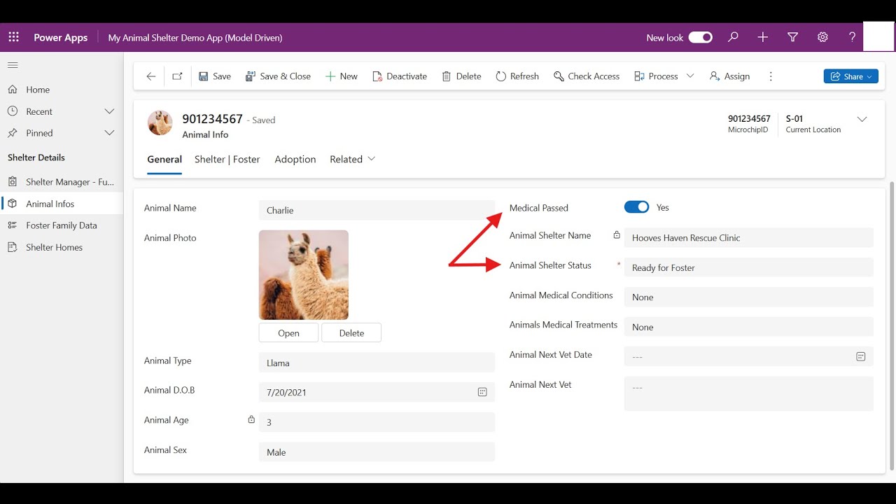 21. Step-by-Step Workflow Creation in Power Apps: Medical Passed ...