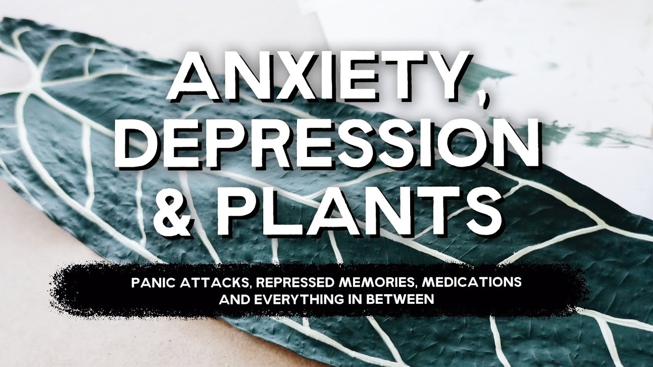 anxiety, depression & plants + DIY dried anthurium warocqueanum project ...