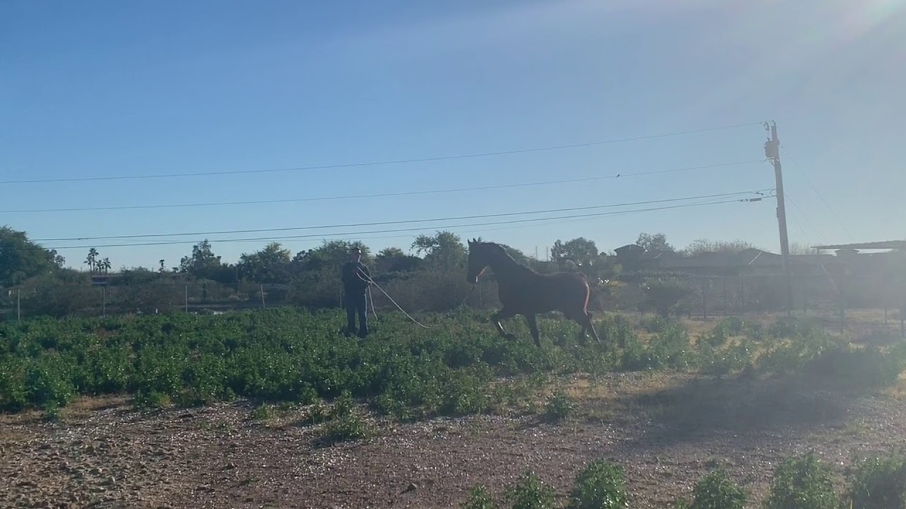 new buster buttons - YouTube