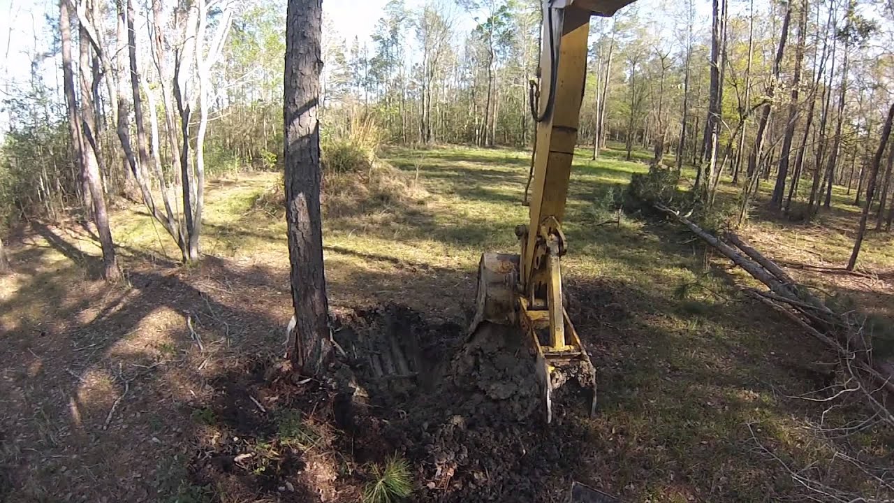 Pulling roots to drop Pines with the Cat307c - YouTube