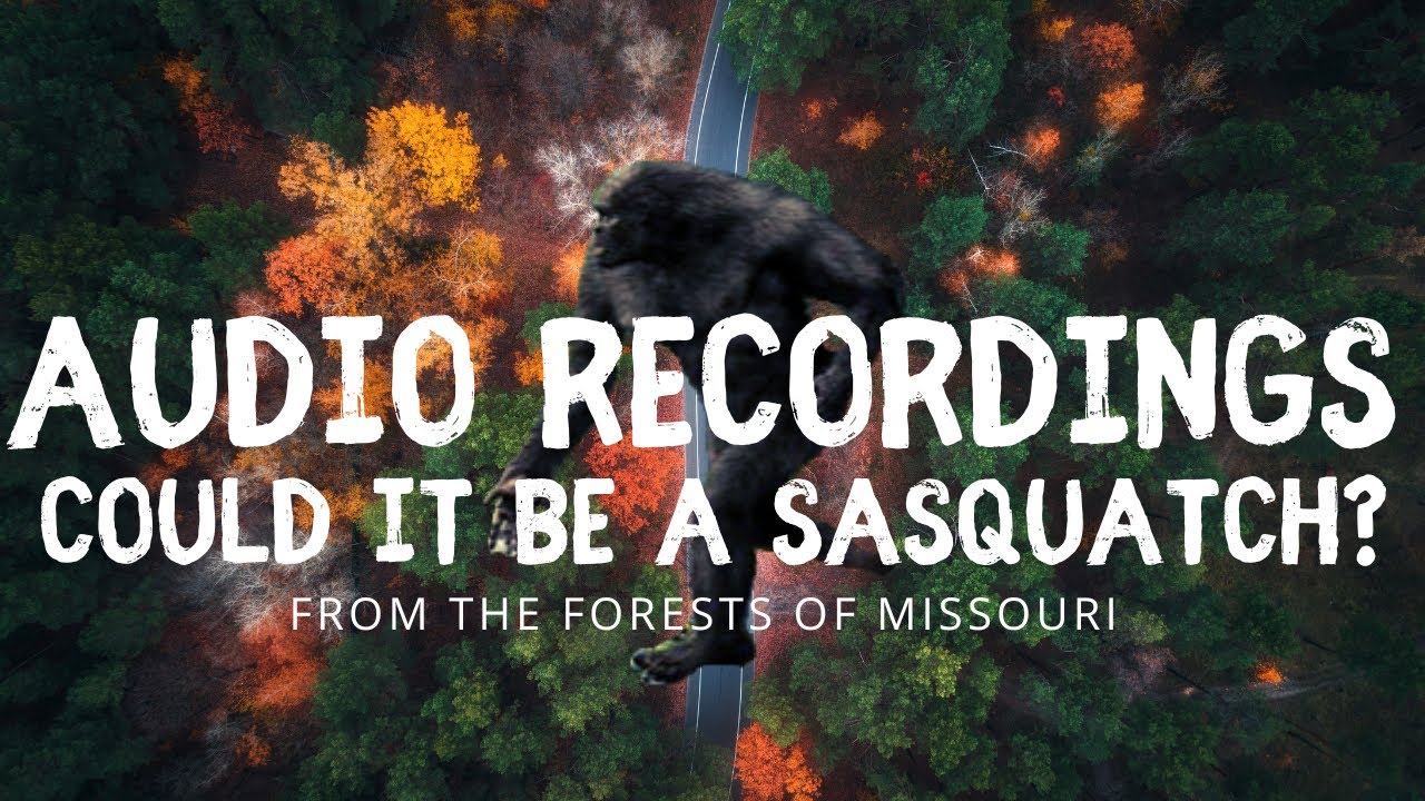 STRANGE AUDIO CAPTURED | COULD IT BE A SASQUATCH?! - YouTube