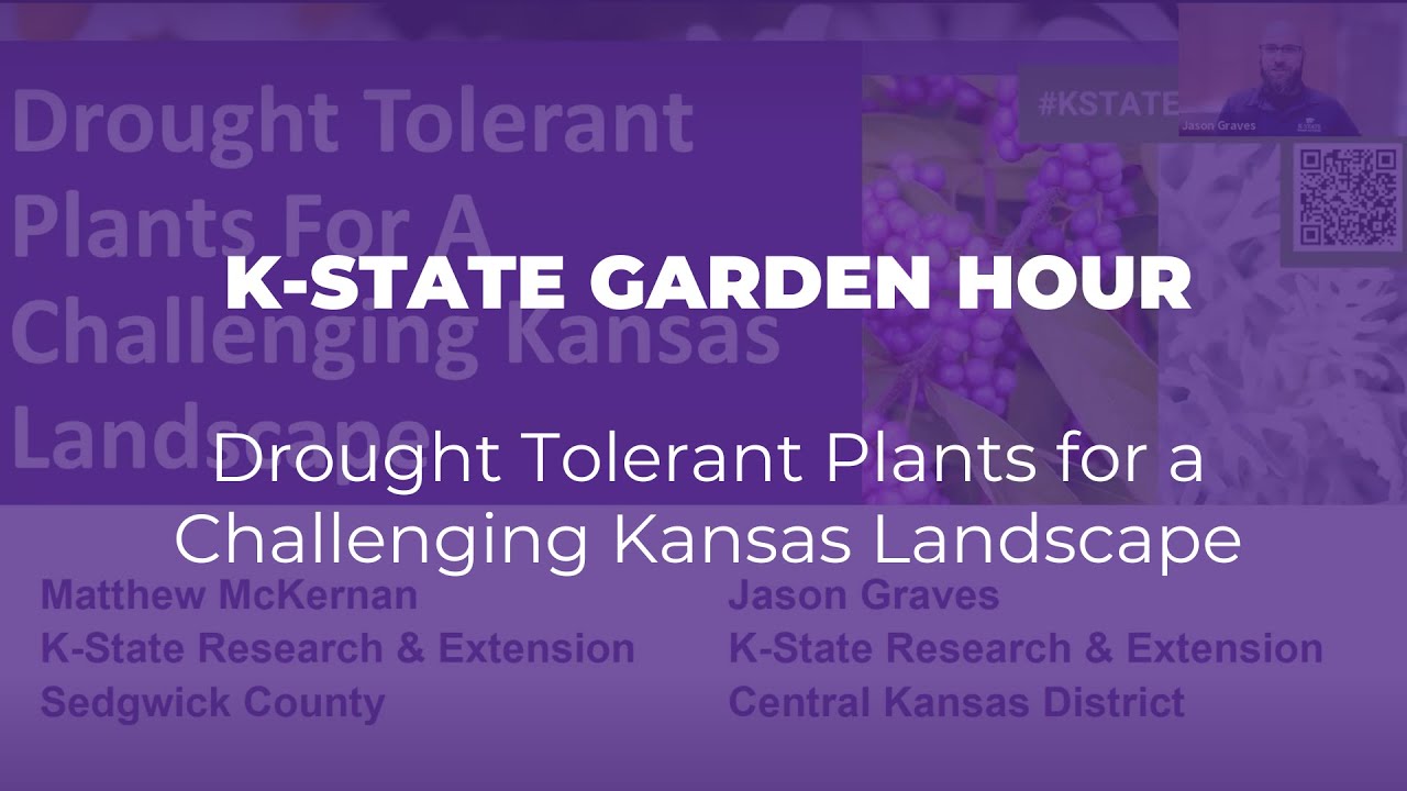 K-State Garden Hour: Drought Tolerant Plants for a Challenging Kansas ...