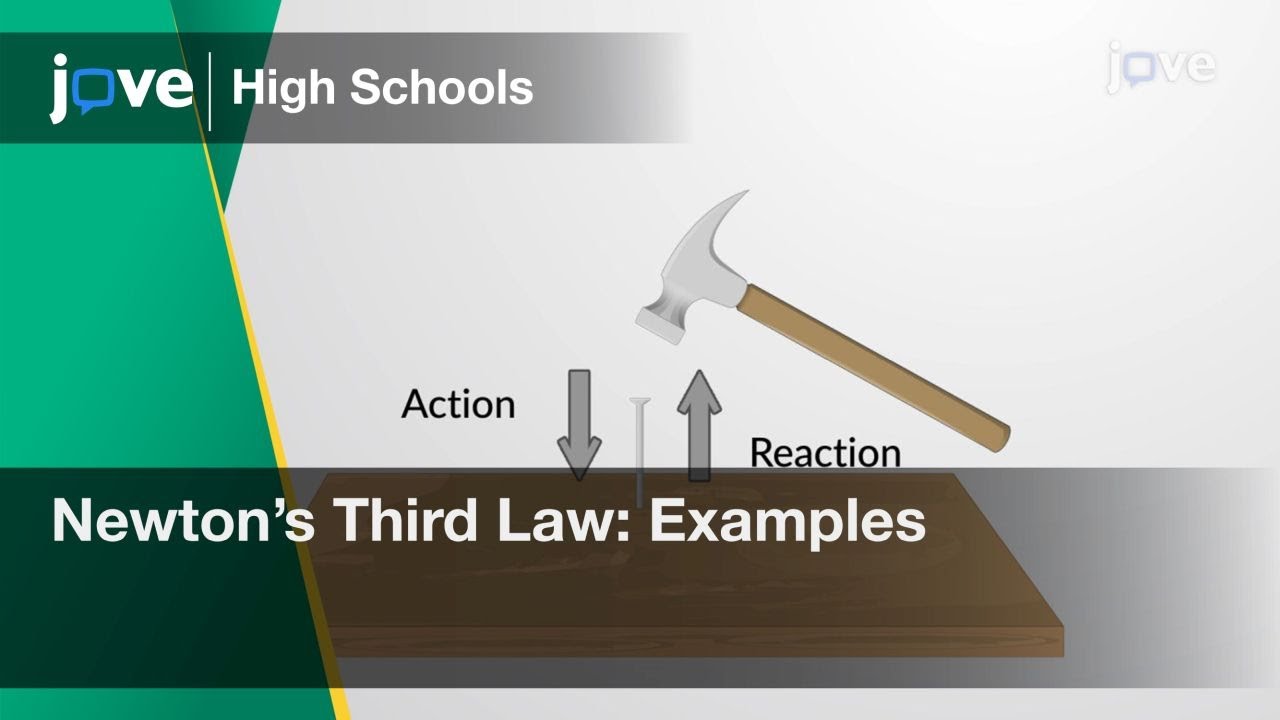 Newton's Third Law: Examples | Physics | Video Textbooks - Preview ...