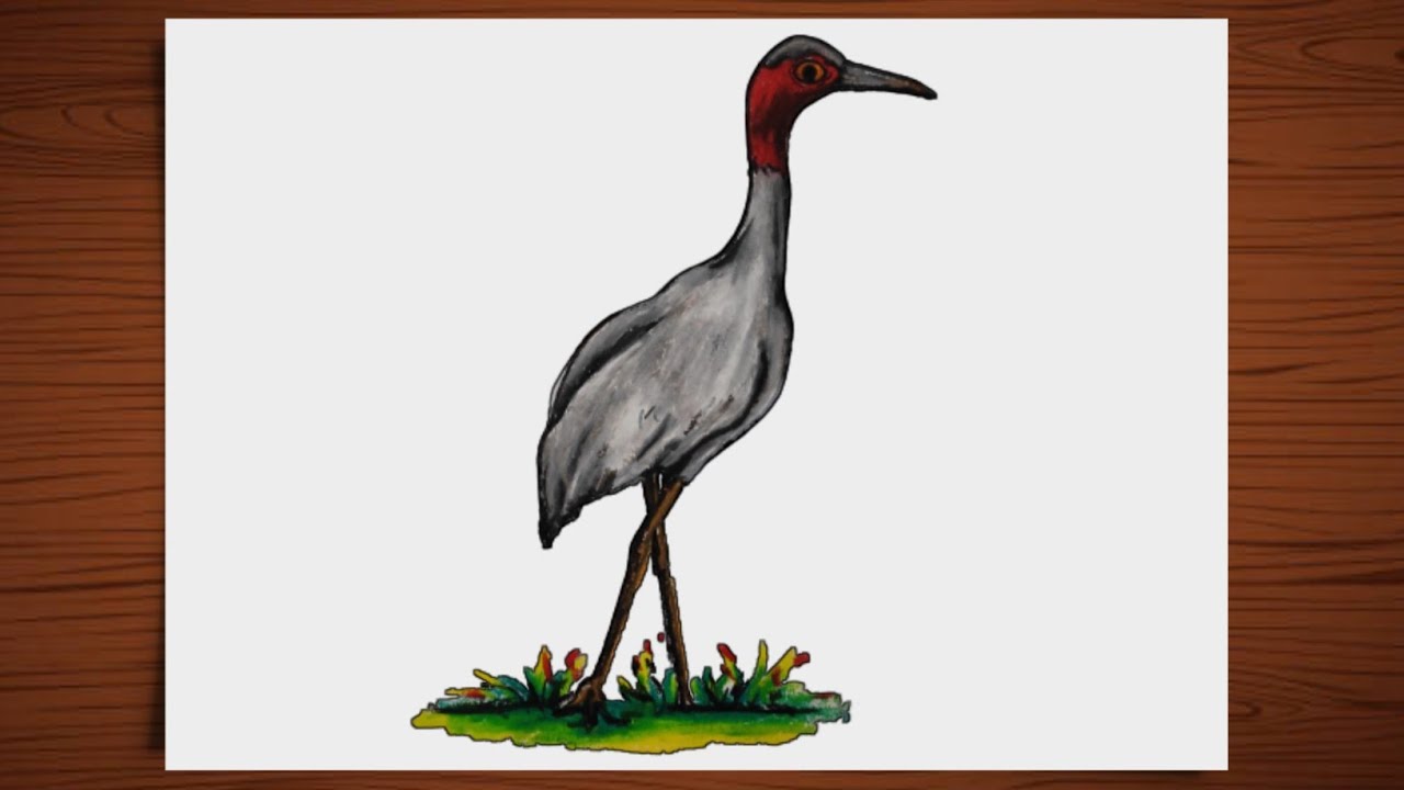 How To Draw Crane Bird || Crane Drawing Easy Step By Step || Easy Bok ...