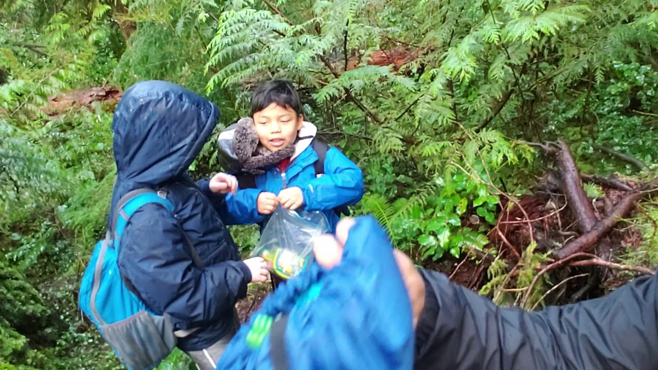 #Geocaching in High point trails Issaquah Washington - YouTube