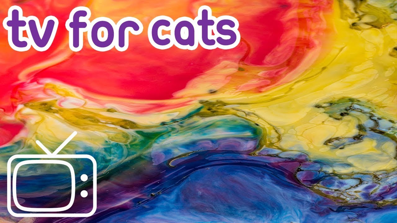 Cat TV: 8 Hours of stimulating abstract footage to entertain your cat ...
