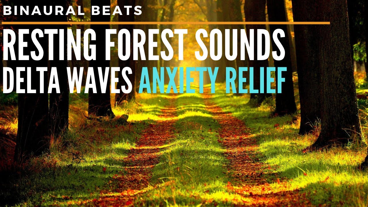 Binaural Beats Forest Sounds 🌿 🎧 | Relaxing Nature Sounds for Stress ...