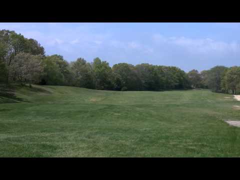 Goofy swing 2011