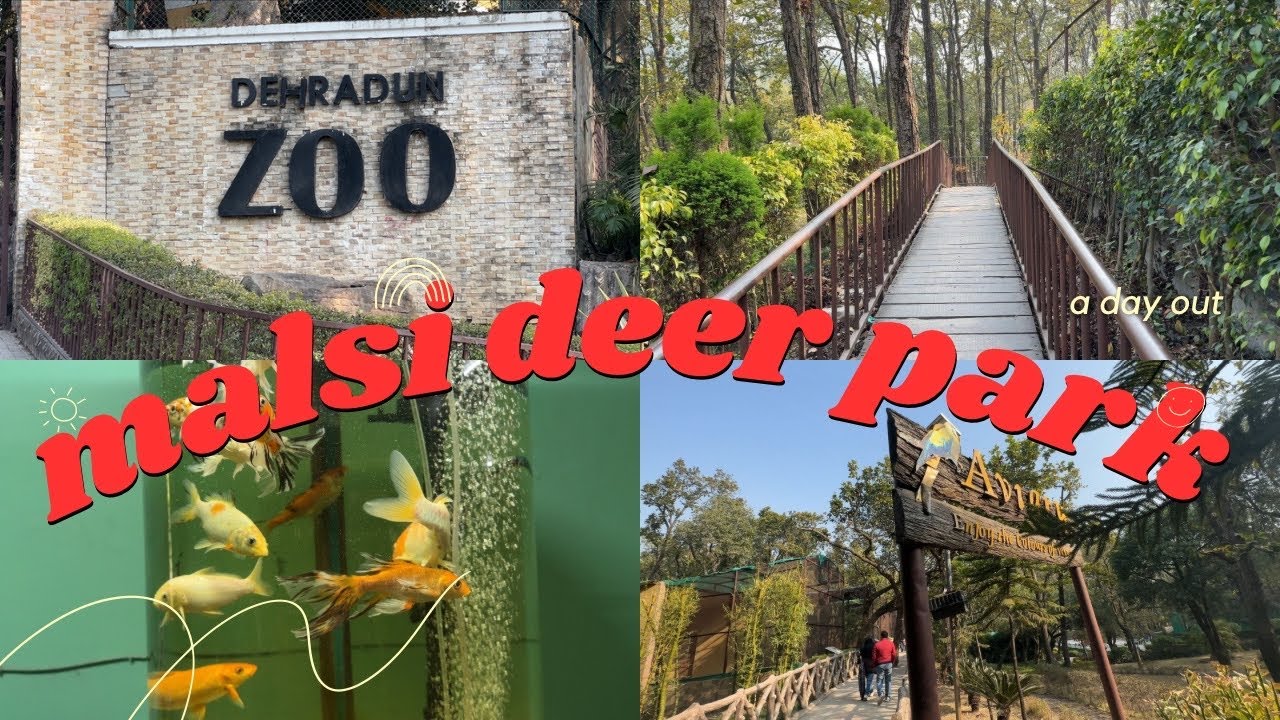 DEHRADUN ZOO | Malsi Deer Park | best place to visit In Dehradun ...