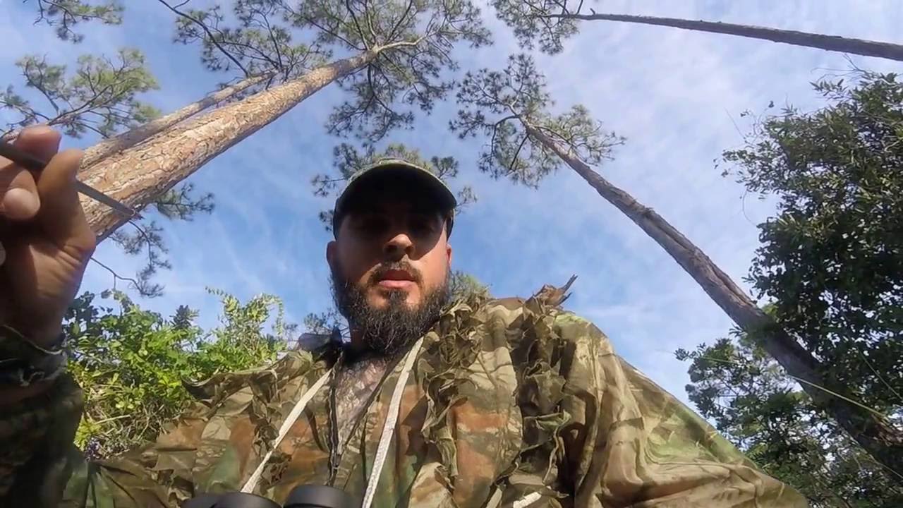 FLORIDA PUBLIC LAND spike recovery (Swamp N Stomp ep. #1) - YouTube