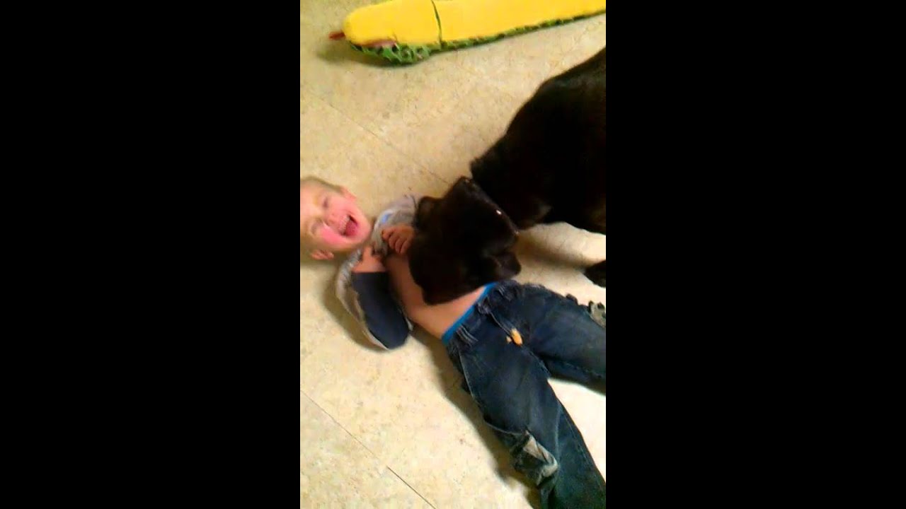 Kid Getting Licked By Dog cool Trick Funny YouTube kid-getting-licked-by-dog-cool-trick-funny-youtube