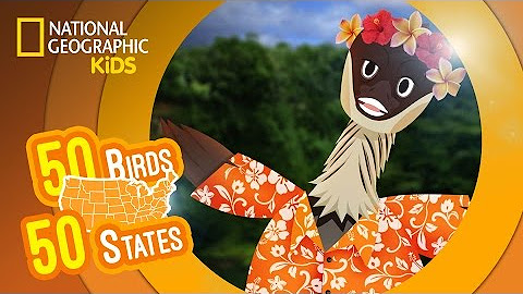 All About Hawaii! | Nat Geo Kids - YouTube