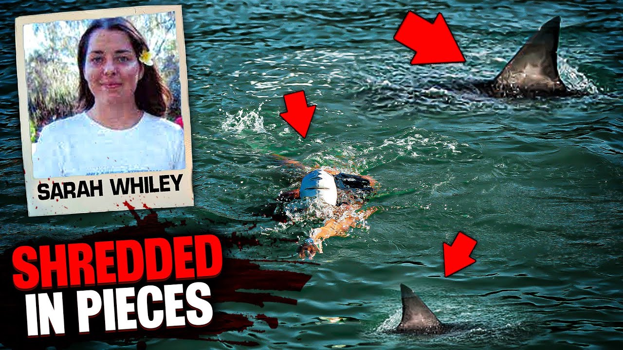 Girl SHREDDED In Pieces By A Group Of BULL SHARKS! - YouTube