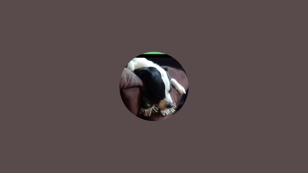 James Jacobson is live! - YouTube