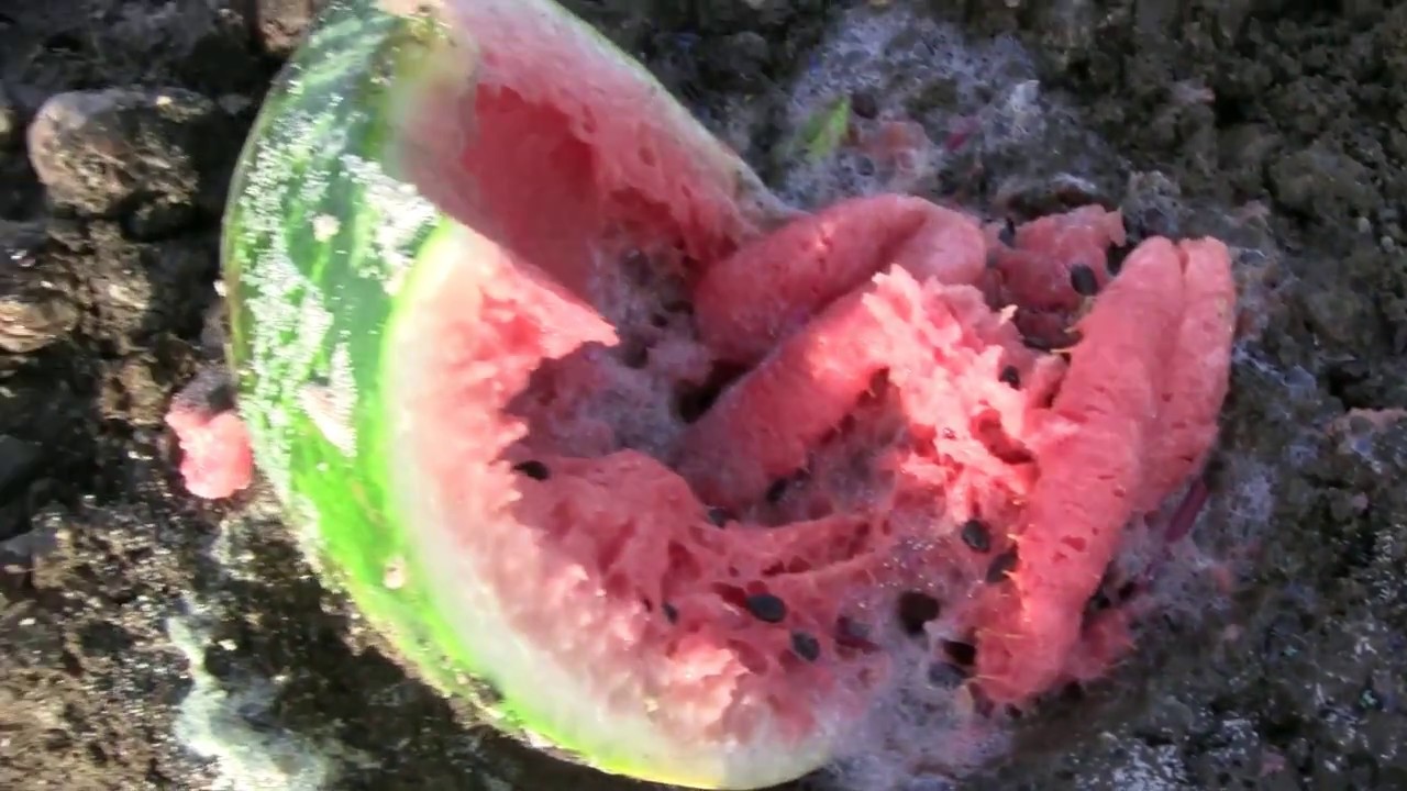 Exploding watermelon - YouTube