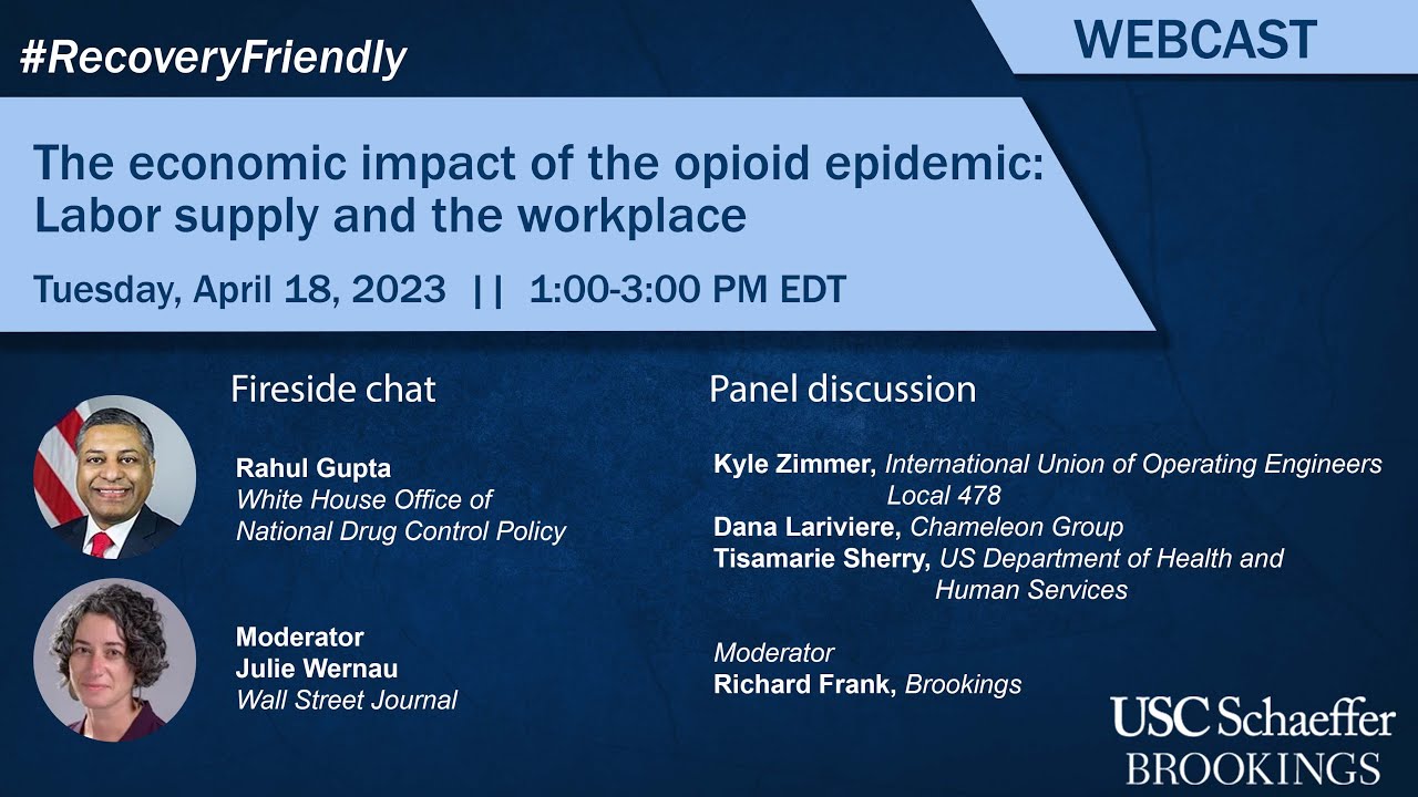 The economic impact of the opioid epidemic: Labor supply and the ...