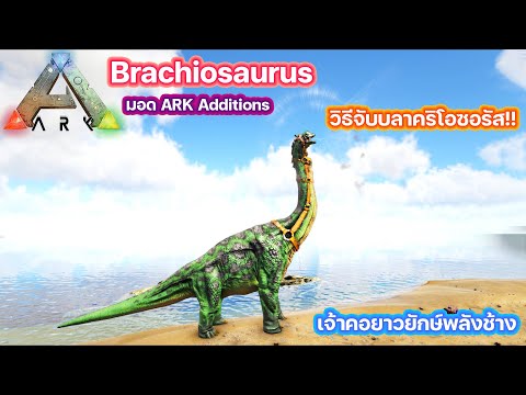 ARK Brachiosaurus จับไดโนเสาร์ ตอนจับบลาคริโอซอรัส ARK SURVIVAL EVOLVED ...