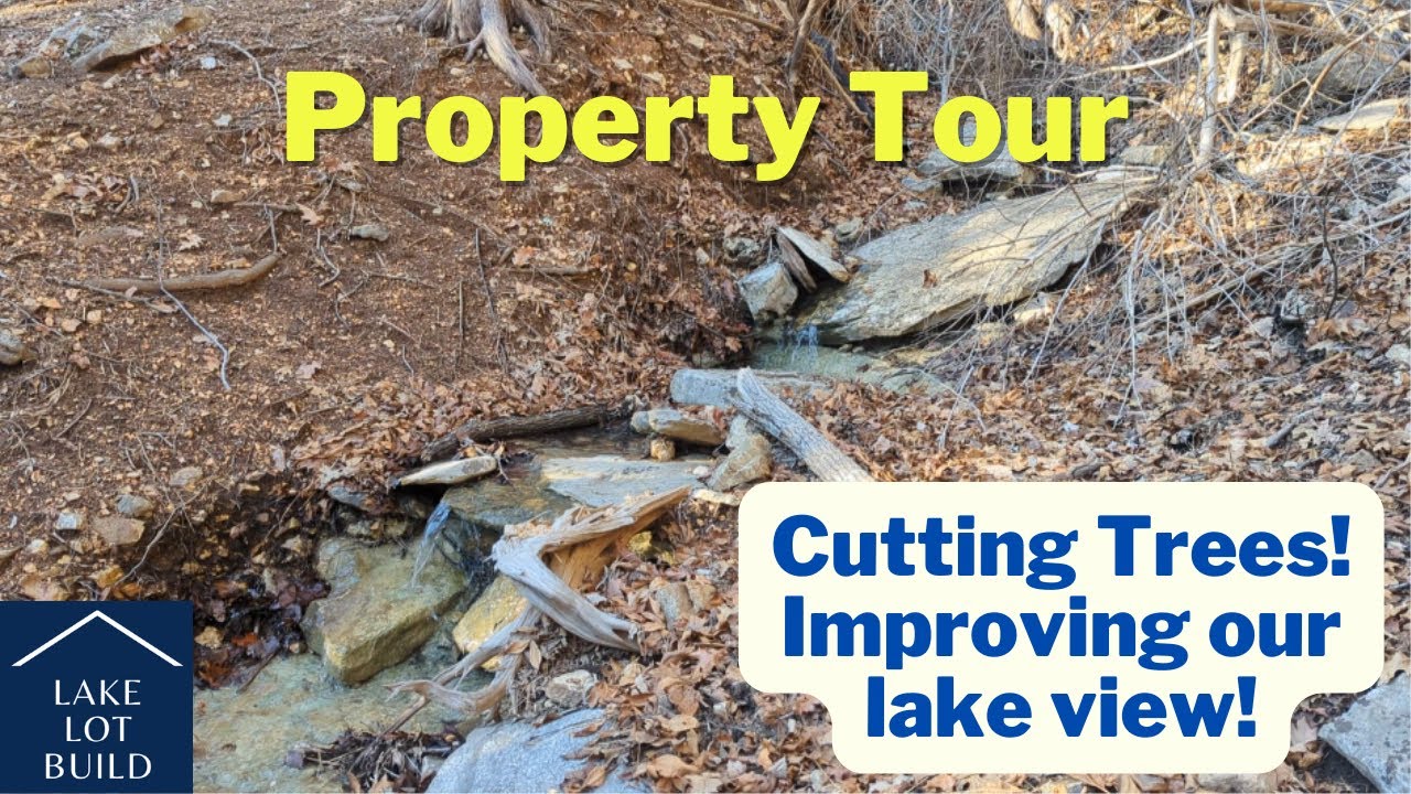 Lake Property Tour! Cutting down trees to improve our lake view and ...
