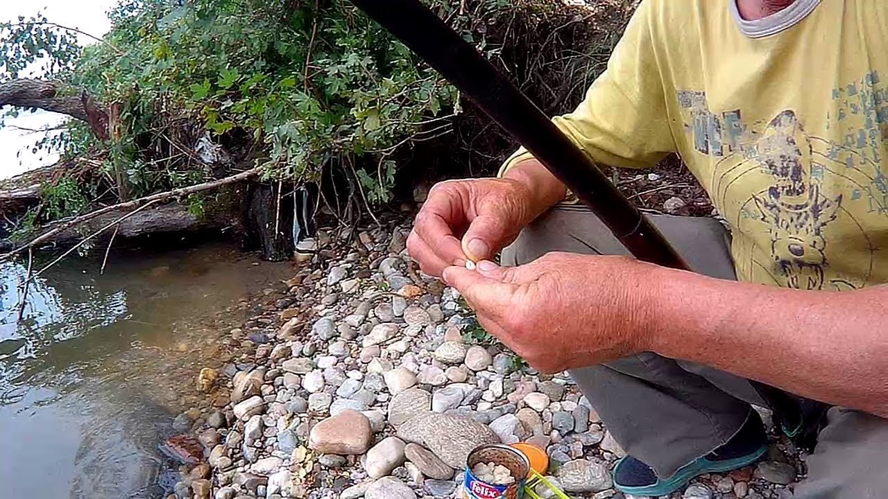 CUBULET DE MAMALIGA ALBA - YouTube