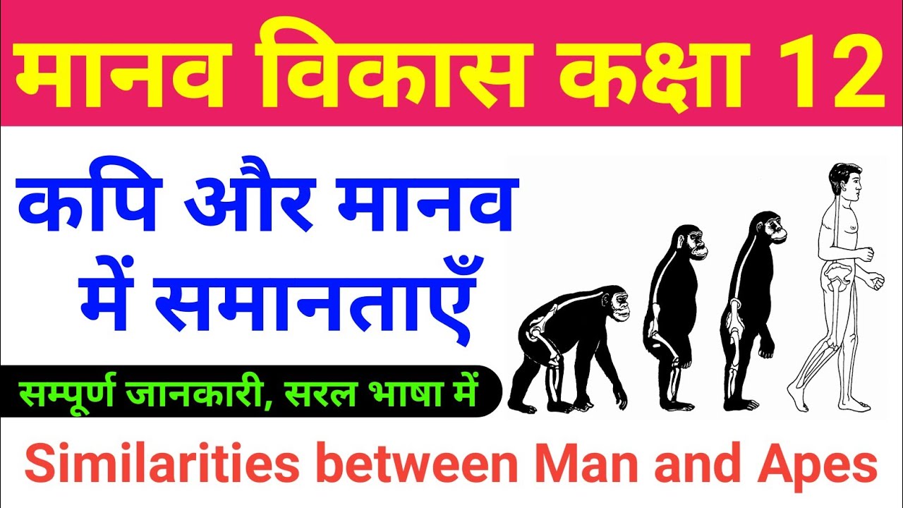 कपि और मानव में समानताएँ | Similarities between Man and Apes | human ...