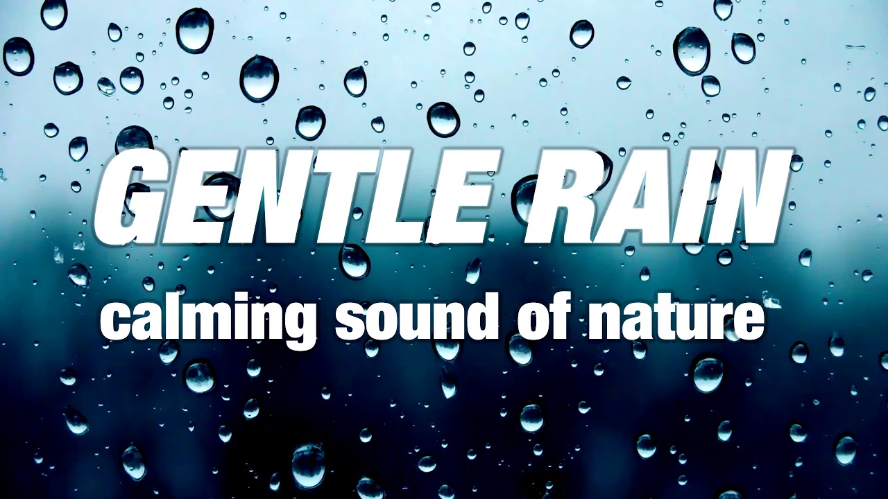 Gentle rain drops. Calming sound of nature. Superb audio experience for ...