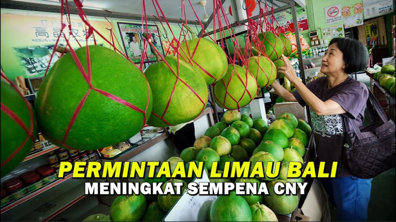 Permintaan limau bali meningkat sempena CNY - YouTube