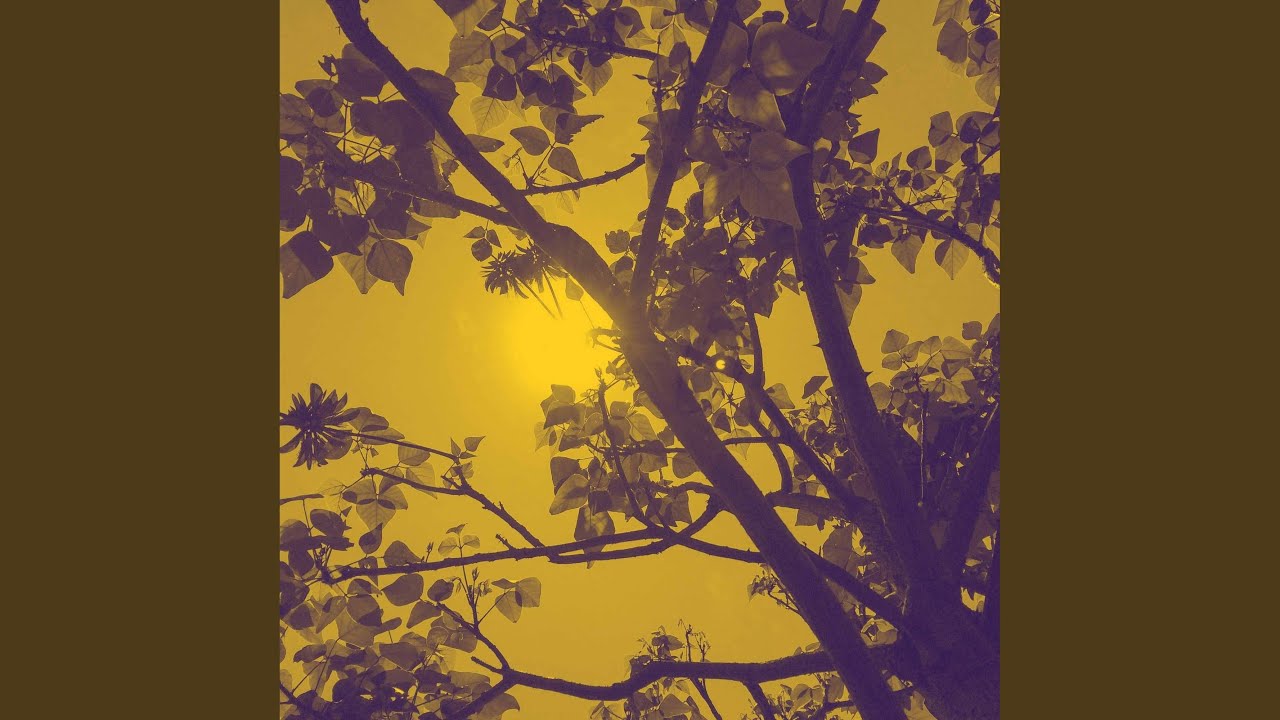 Mellow Moods for Energetic Colors - YouTube