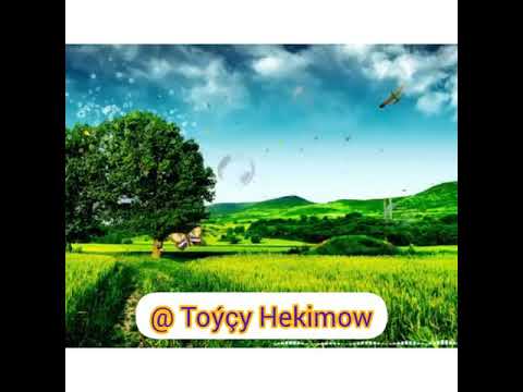 TÜRKMENISTAN goşgy Bu durmuşda Toýçy Hekimow