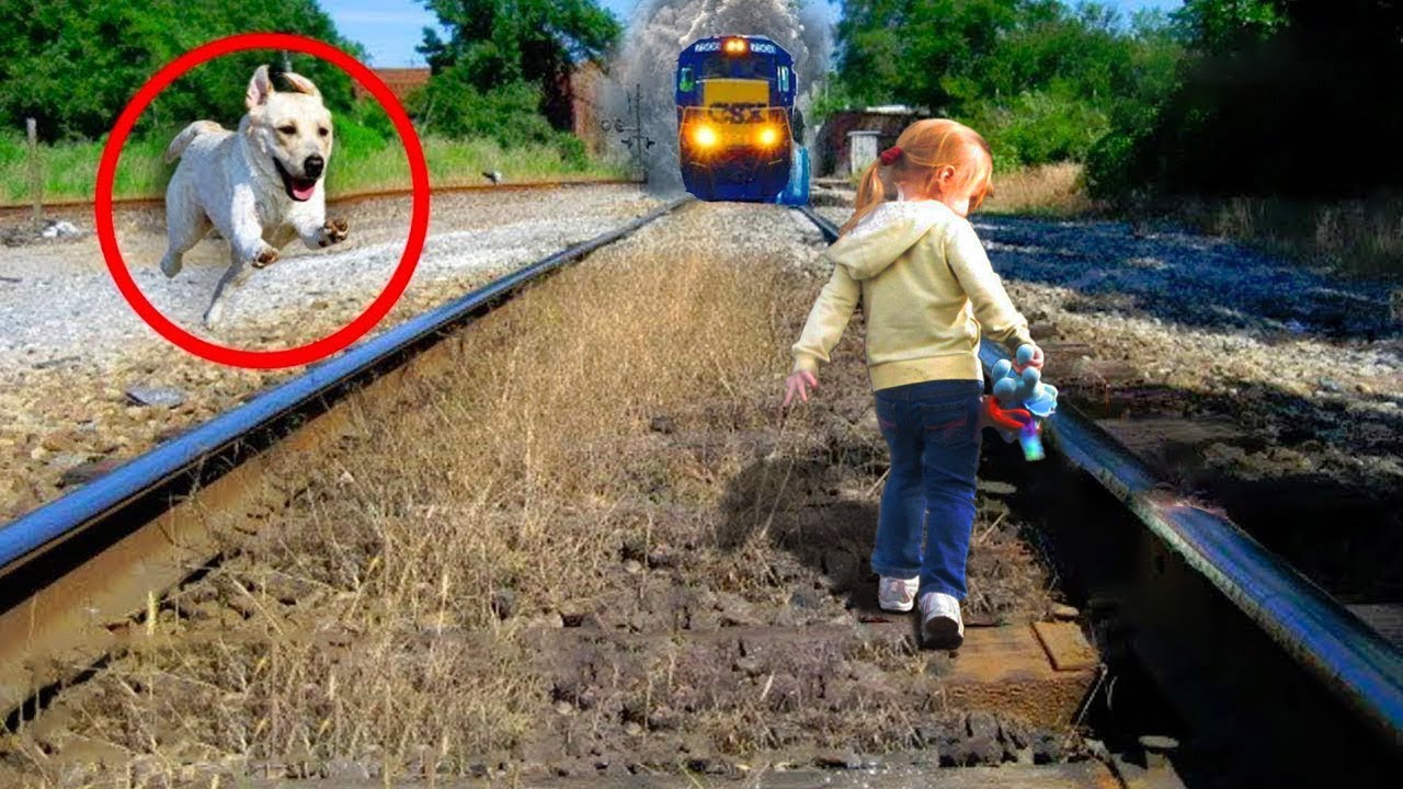 Super Smart And Quick Dog Saves Baby From Running Train 😱😱😱🐶 Smart Dog ...