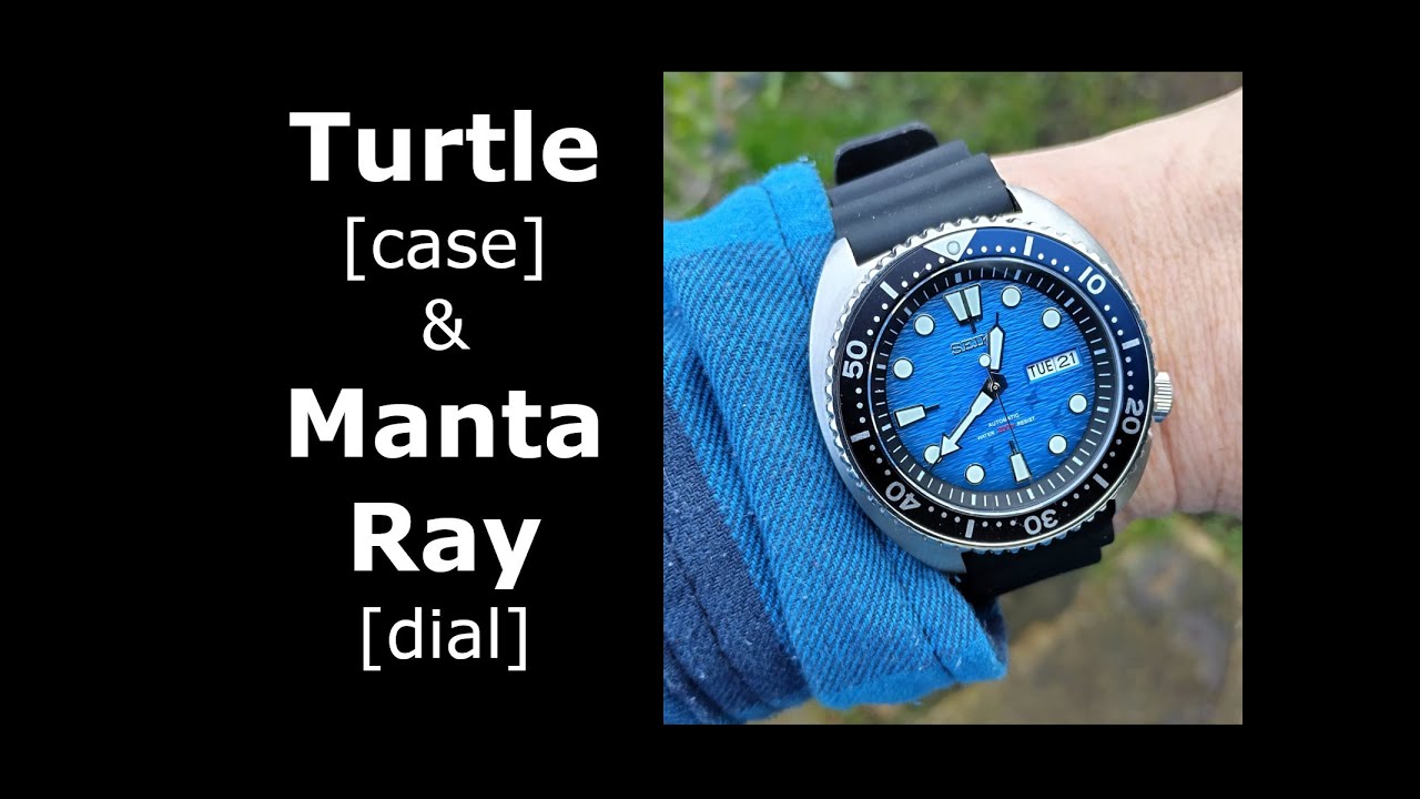 Turtle [case] & Manta Ray [dial] - YouTube