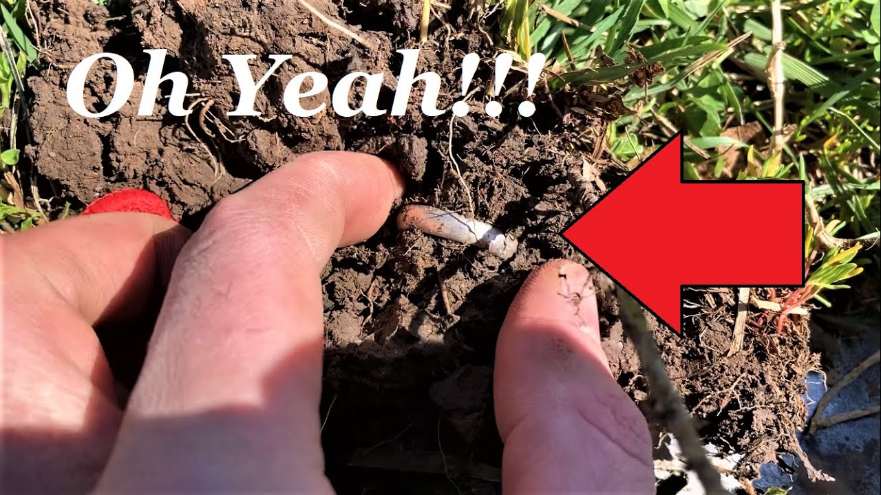 Metal Detecting a COOL OLD TOKEN, SILVER, RELICS, and MORE!!! - YouTube