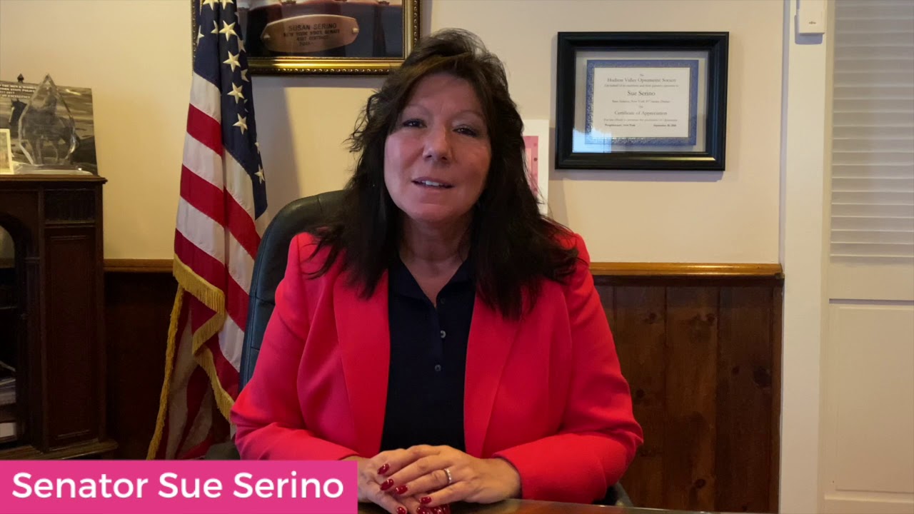Senator Sue Serino Interviews Lea Cassarino - YouTube
