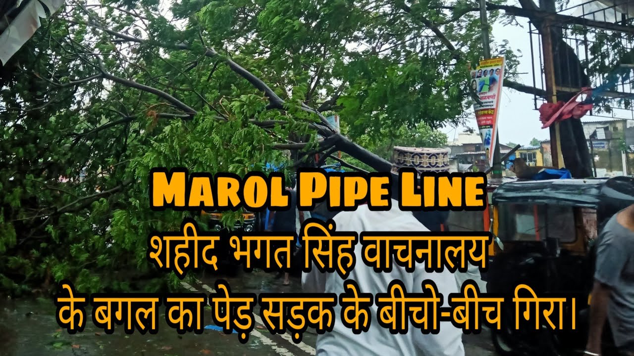 Marol Pipe Line शहीद भगत सिंह वाचनालय के बगल का पेड़ सड़क के बीचो-बीच ...