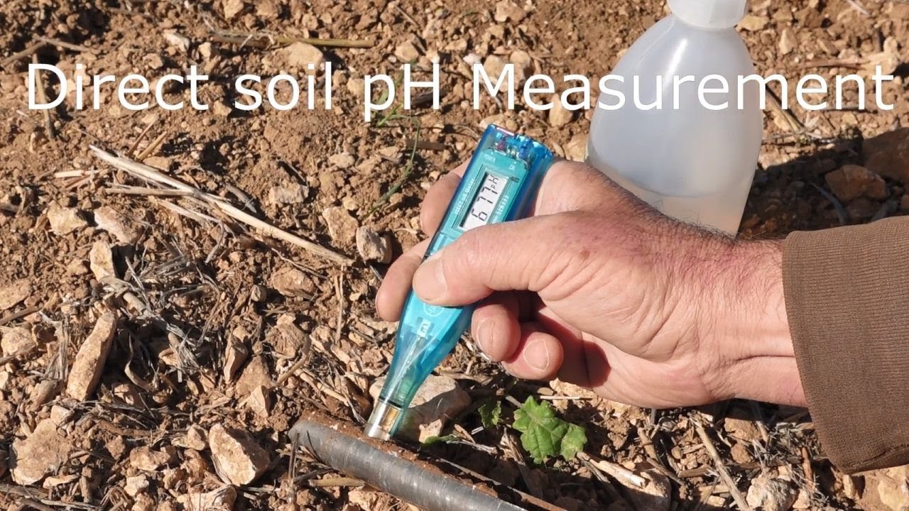 Direct pH measurement in soil with ISFET pH Meter - YouTube