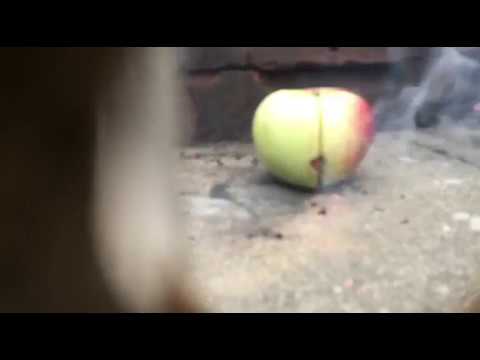 Apple explosion - YouTube