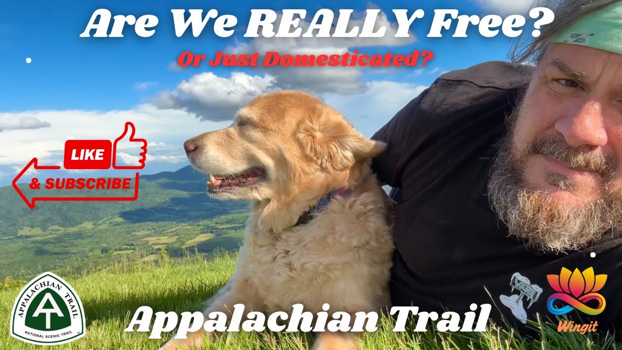 Are We Really Free - or Just Comfortably Domesticated? Random Thoughts ...