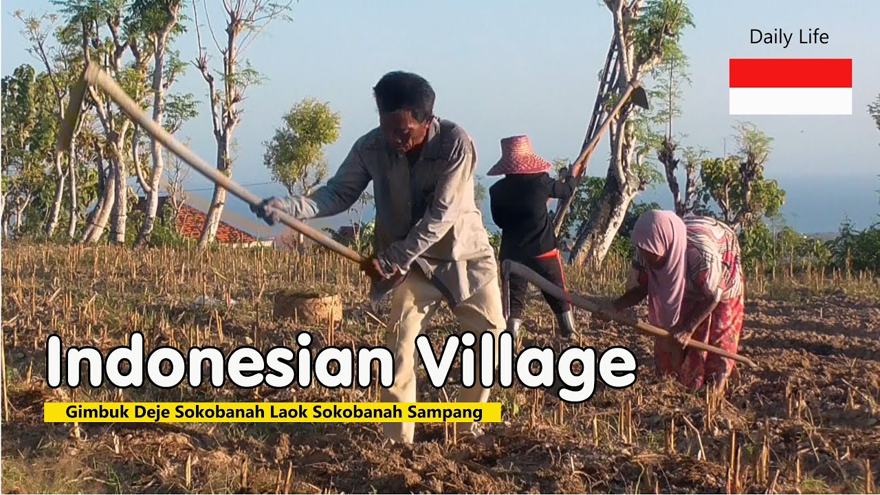 Indonesia village | Indonesia daily life | Nepal village | indonesian ...