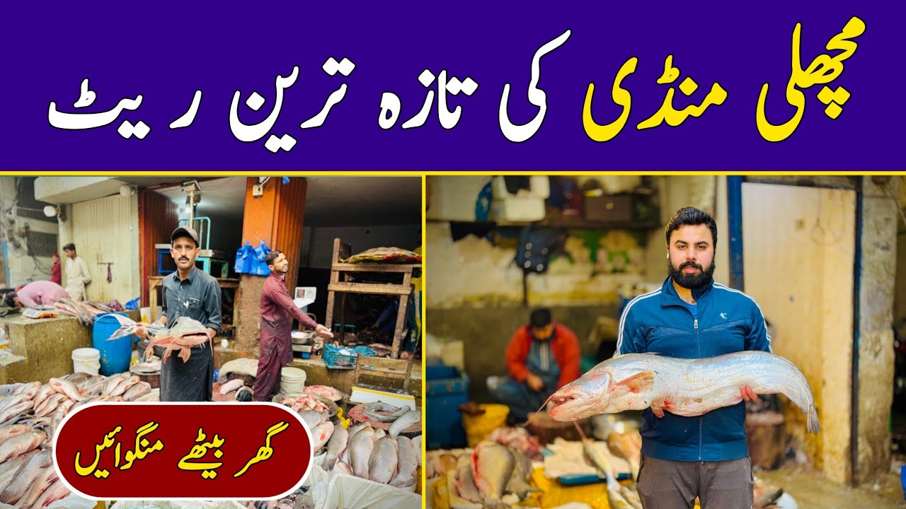 New Fish Market Lahore | Wholesale Fish Market | Machli Mandi Lahore ...