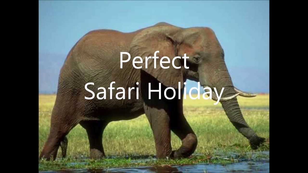 How to choose your Africa Safari Holiday, Intro - YouTube
