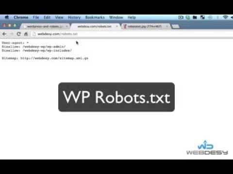 How to Use the Robots.txt File with WordPress - WebDesy.com - YouTube