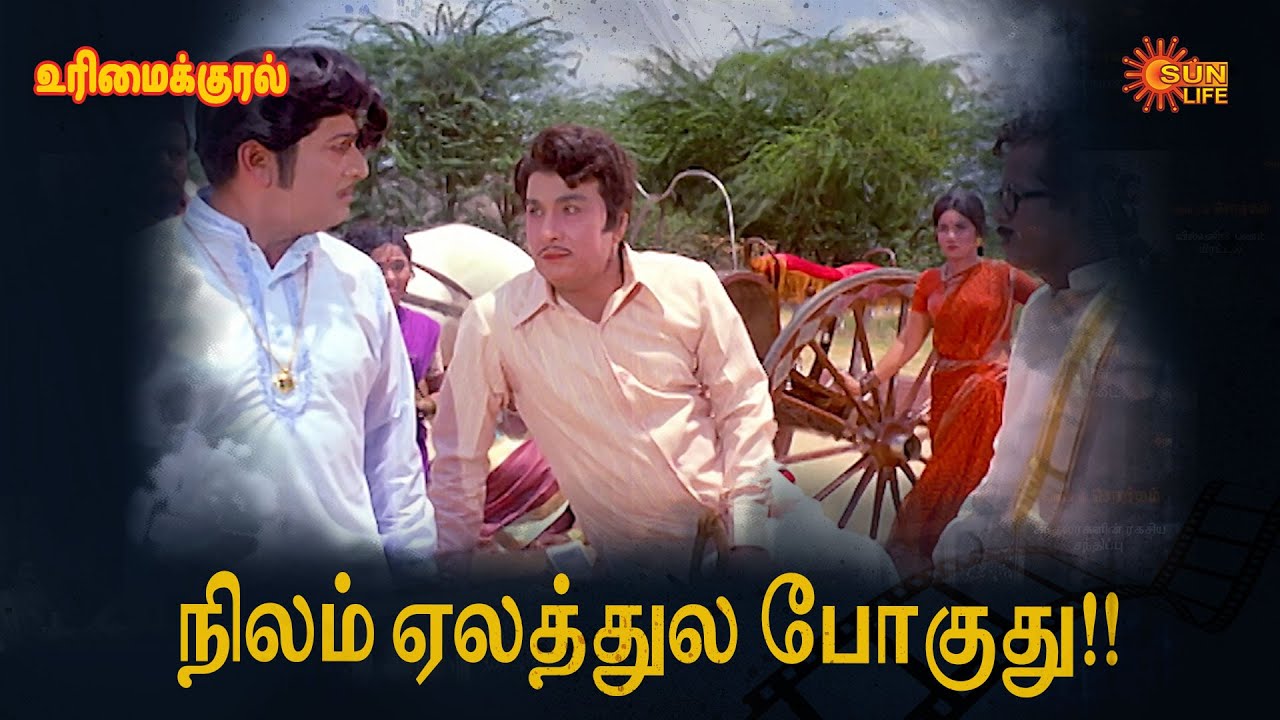 கோர்ட்ல பாத்துக்கலாம்!! | Urimai Kural | M.G.R, Latha | Sun Life TV ...