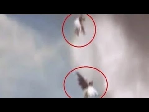 😇👼 Gli angeli esistono? Un video che sembrava dimostrarlo - YouTube