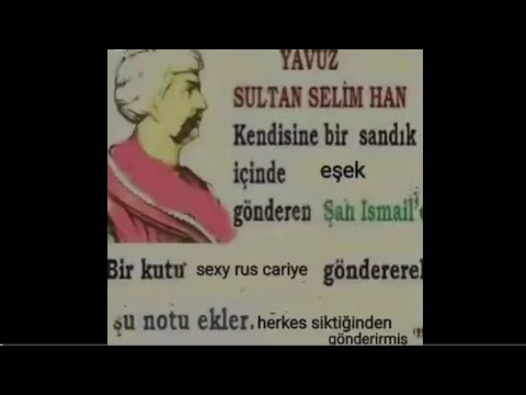 Shitpost Ortaya Karışık Derleme #1