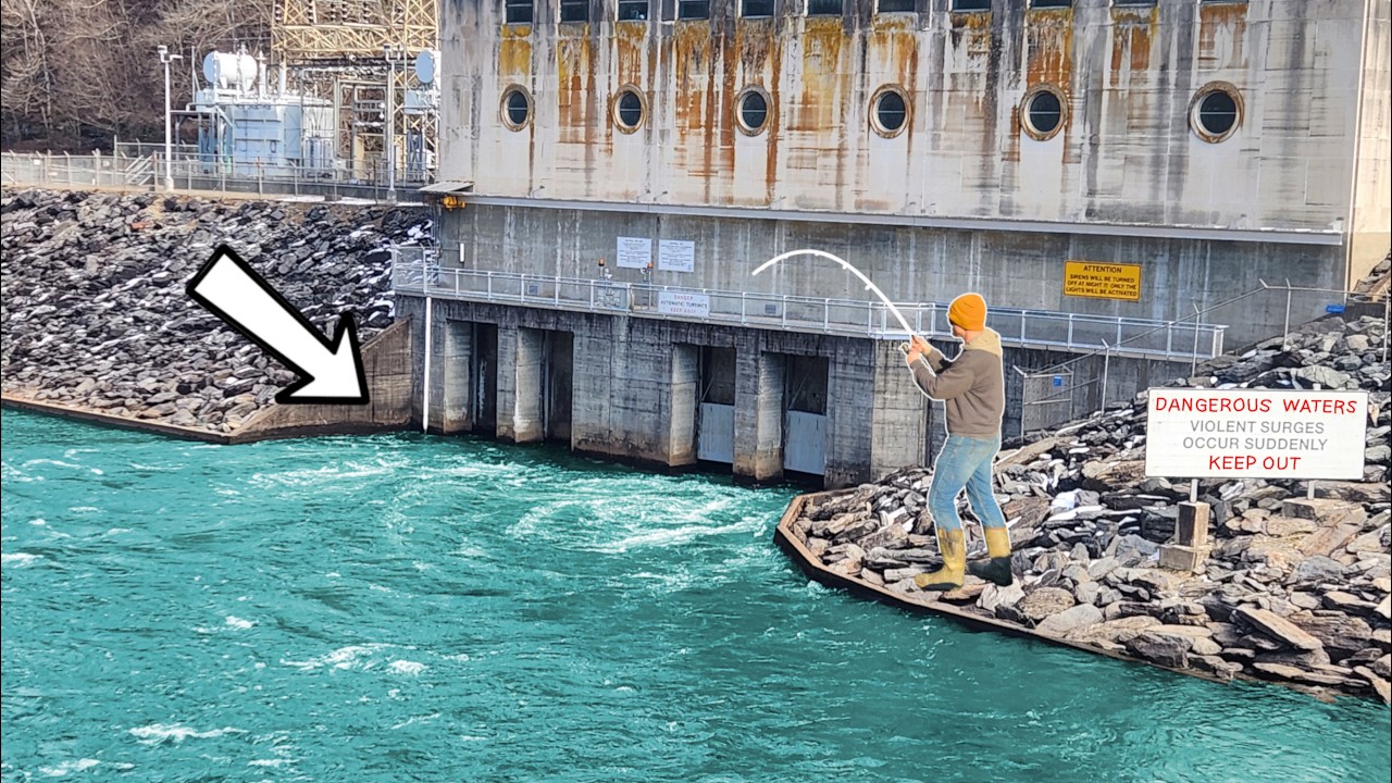 Hundreds of Fish TRAPPED by Rapidly DRAINING River (We Caught Them ...