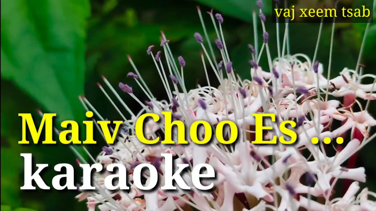 Maiv choo es ... karaoke slow ເສບສົດ - YouTube