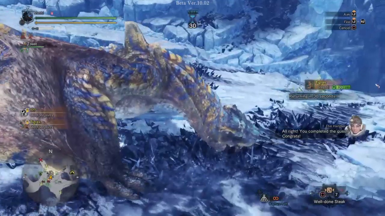 MHW Iceborne: How to "Capture" Tigrex - YouTube