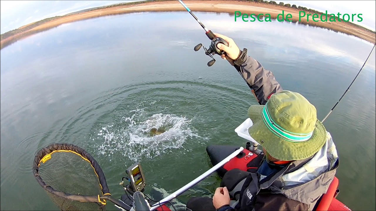 Pesca desde pato Nov 2019 / Float tube Fishing - YouTube